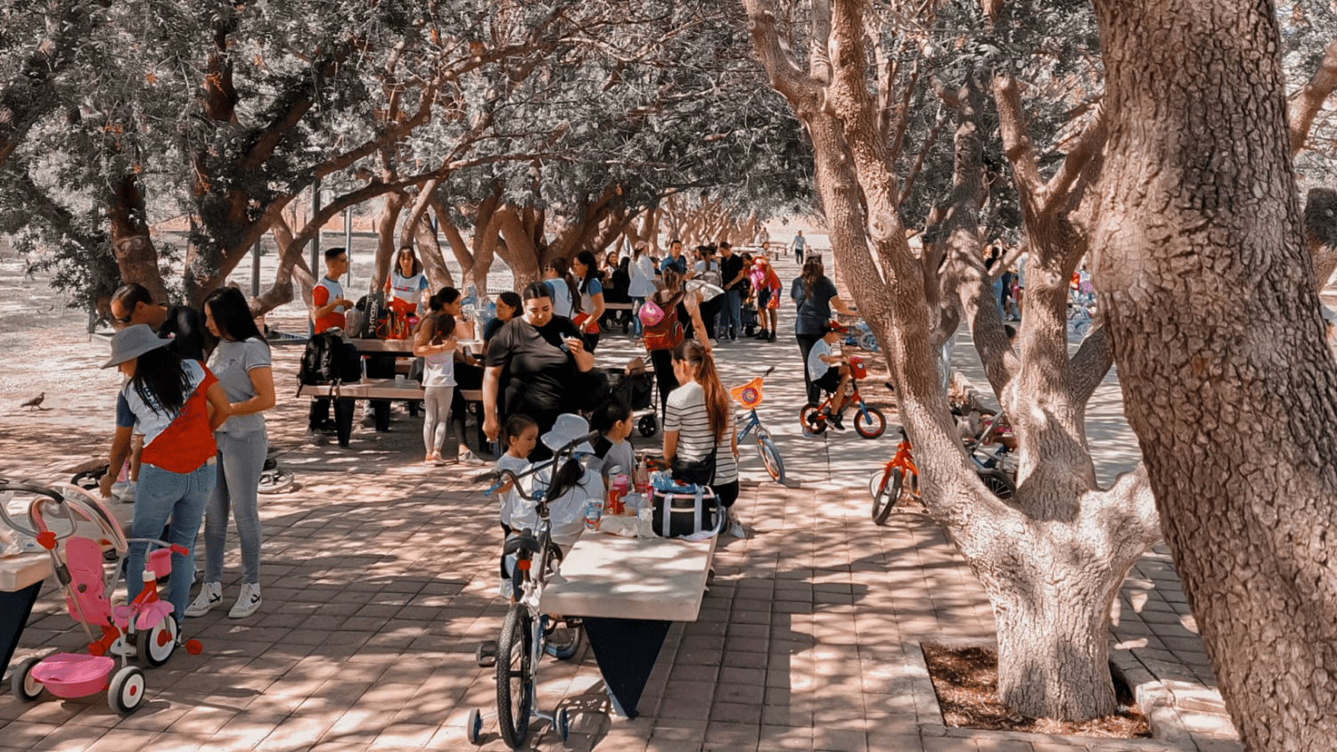 40 mil visitantes semanales al Parque Central - Soy Juárez